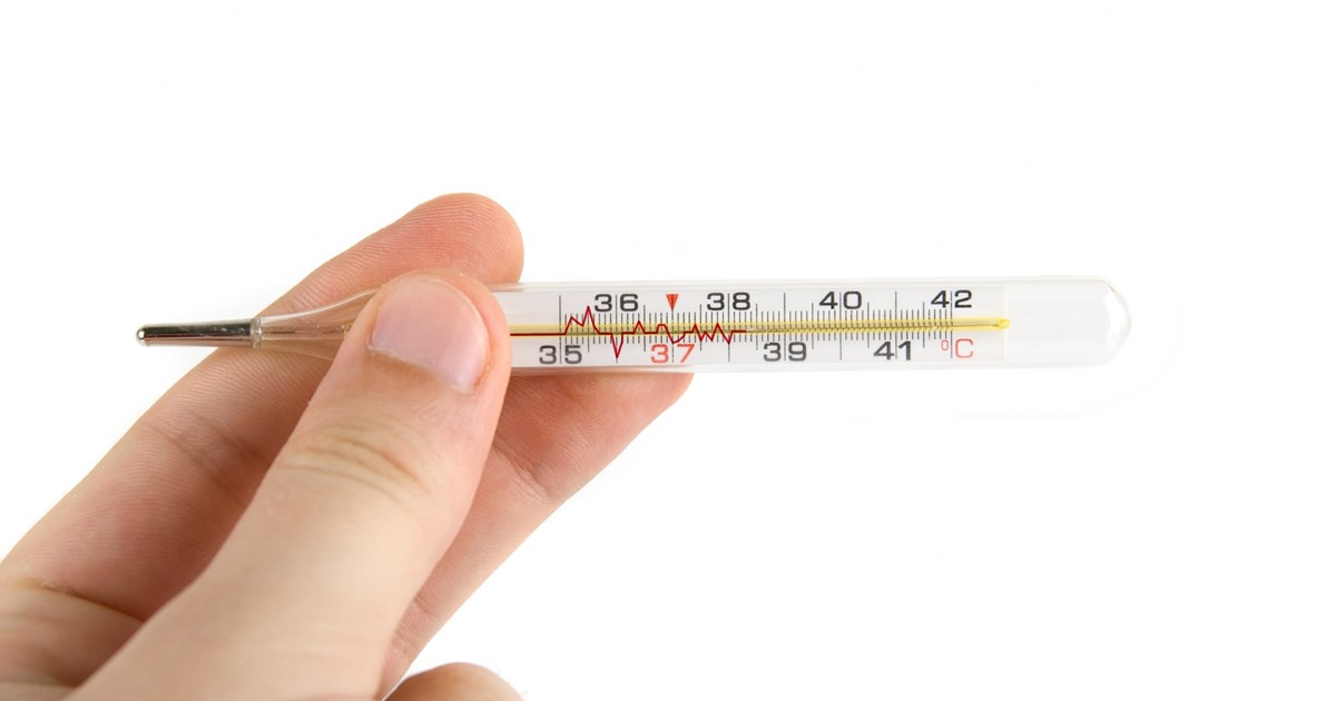 Steg 1: Ta tempen på din affärsidé - Driva Eget